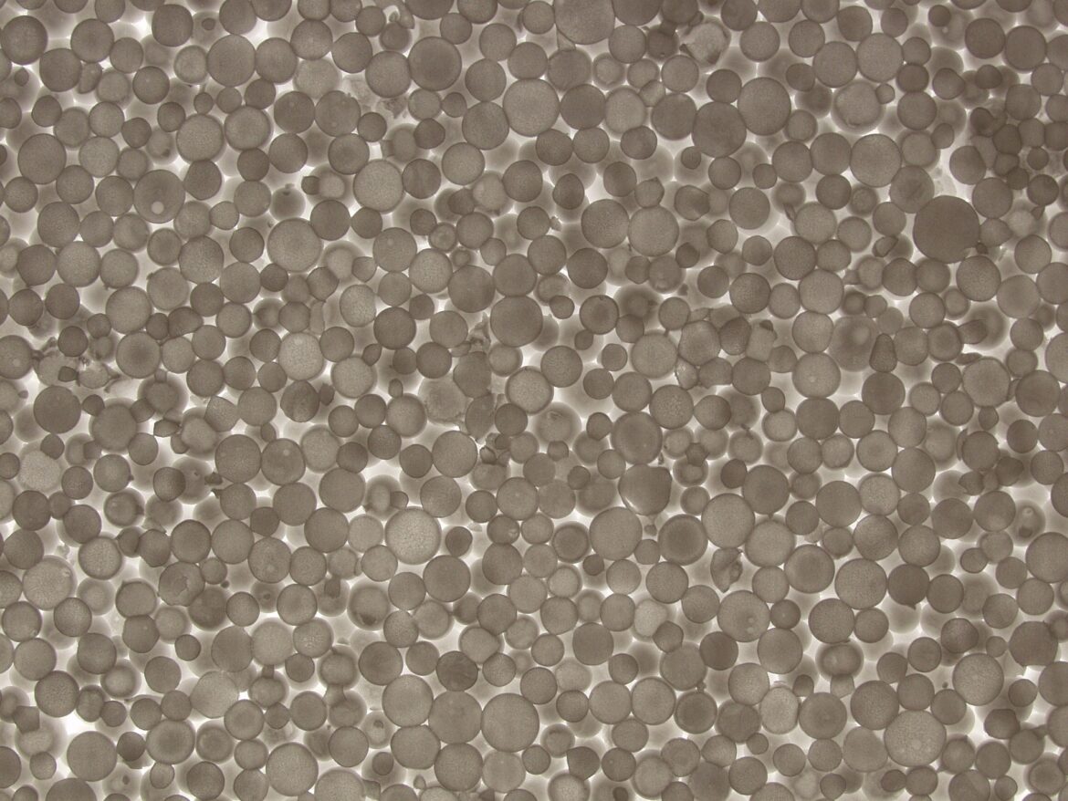 New partner for realization of circular polystyrene - RECYCLING magazine