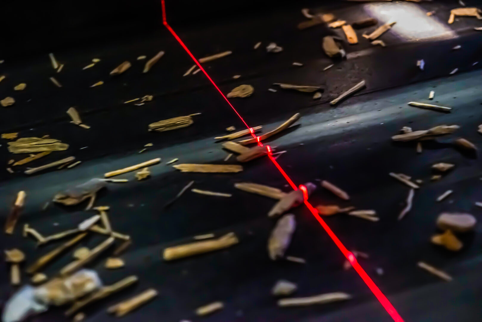 Tomra: Deep learning application for wood sorting - RECYCLING magazine