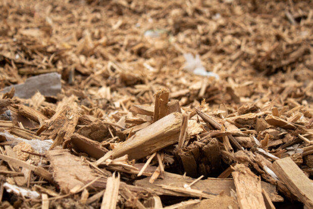 Growing demand for waste wood increases chase for alternative fuels ...