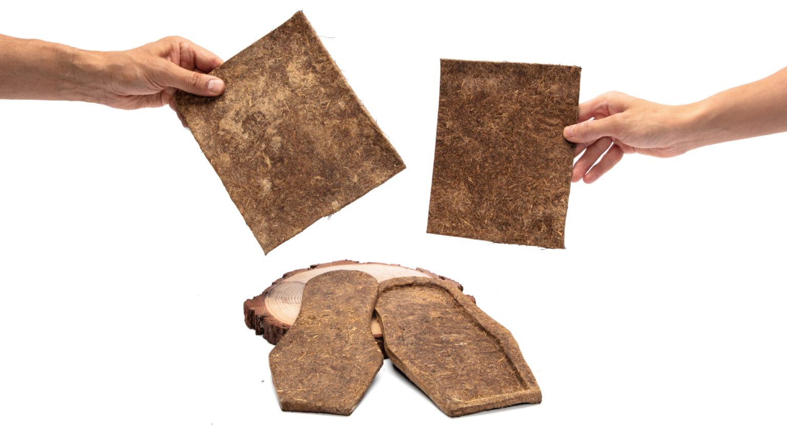 Revolutionising sustainable innovation from agricultural waste ...