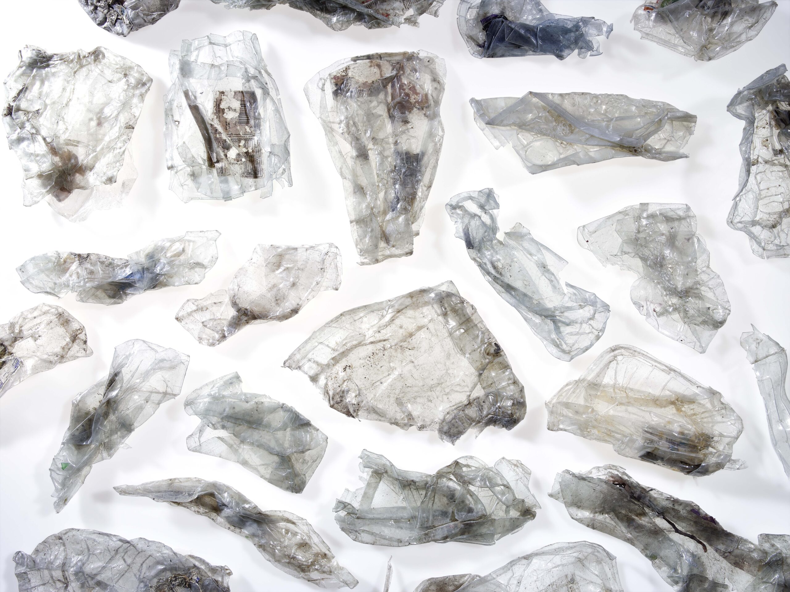 Establishing the tray-to-tray recycling market - RECYCLING magazine